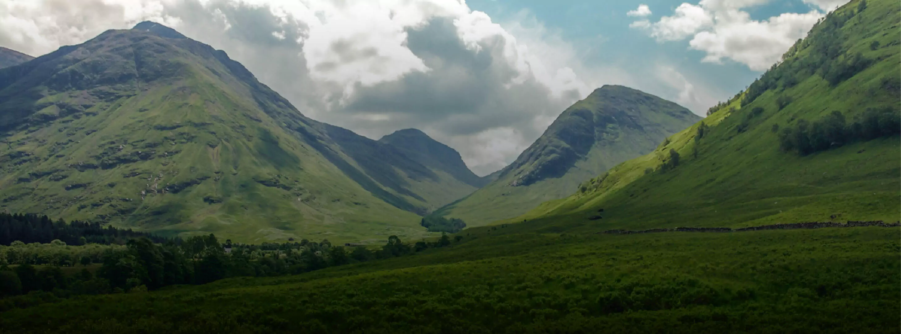 Varicocele Q&A with Dr. Harrison | IVC Interventional Vascular and Vein ...